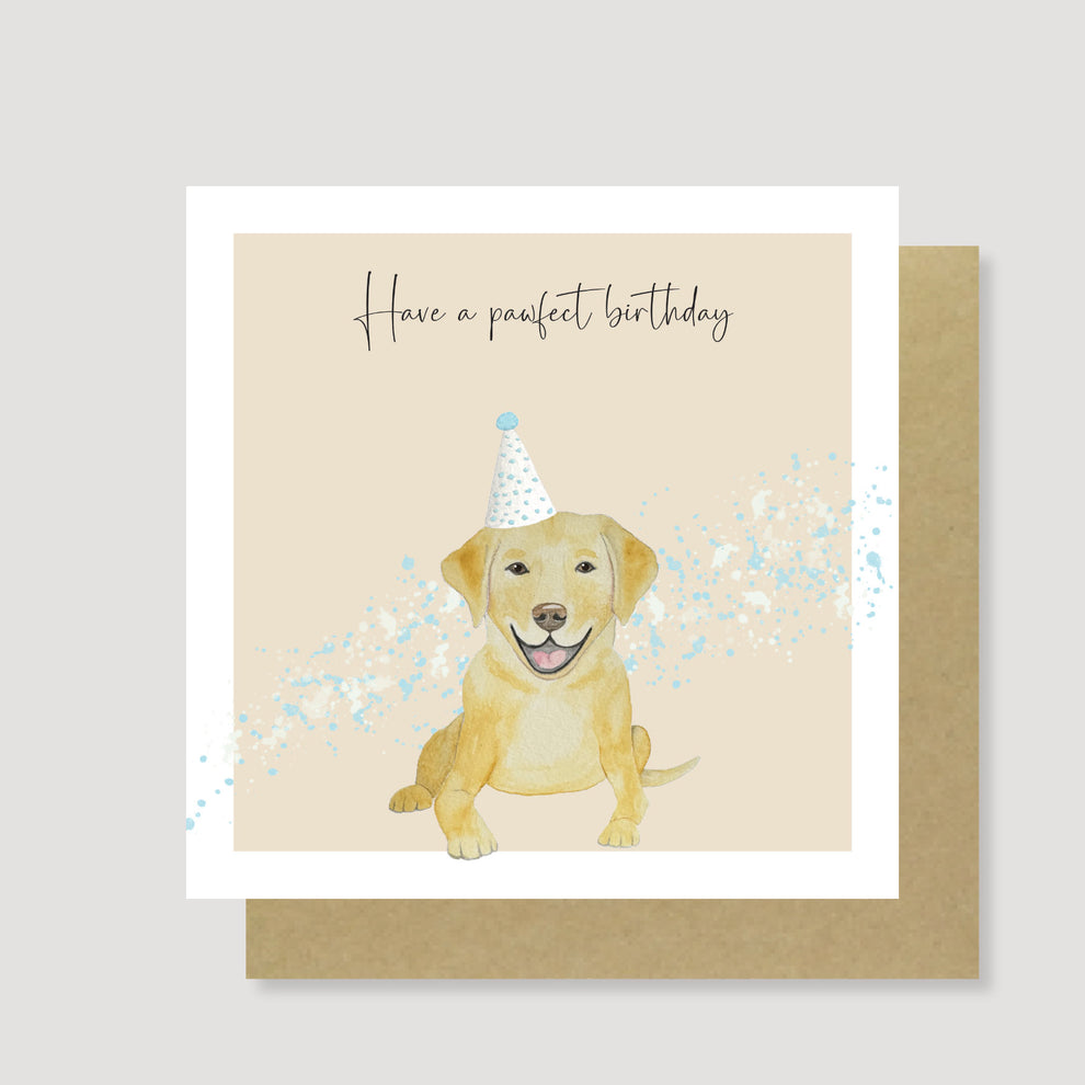 Pawfect birthday Labrador card – Heather Trefusis Art